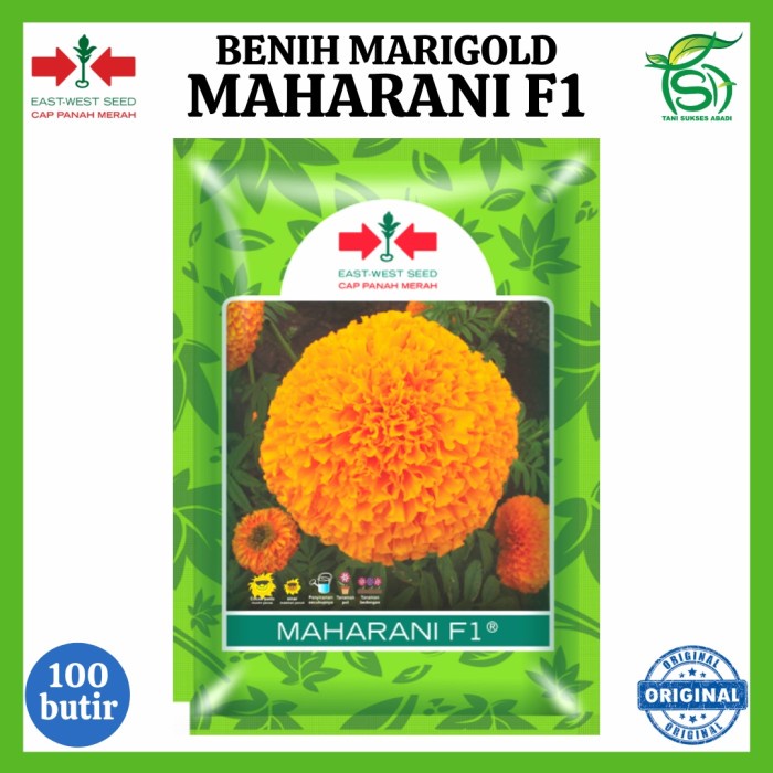 Jual Benih Marigold MAHARANI F1 (100 Butir) - Bibit Bunga Cap Panah ...