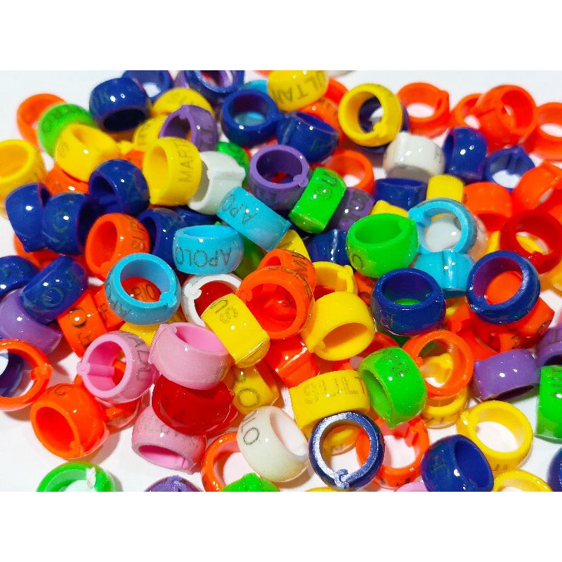 Jual Ring merpati dewasa klip sudah ada nama acak | Shopee Indonesia