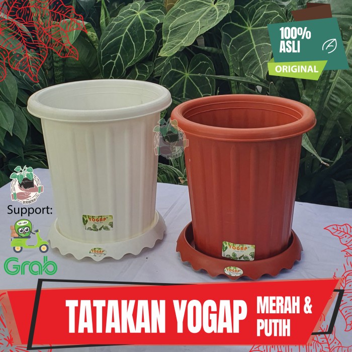 Jual TATAKAN POT BUNGA YOGAP WARNA MERAH DAN PUTIH VARIANT ALAS POT ...