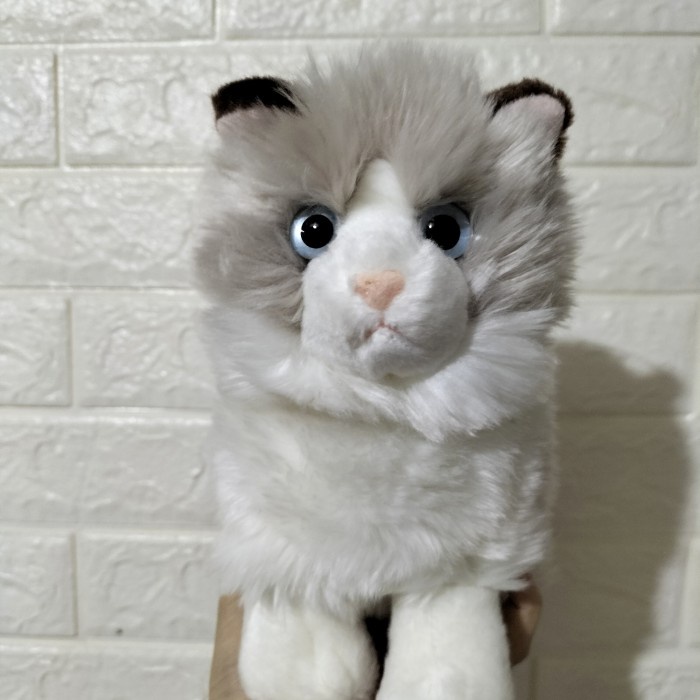 Jual Produk Boneka Kucing Siam Gilaa!!! | Shopee Indonesia