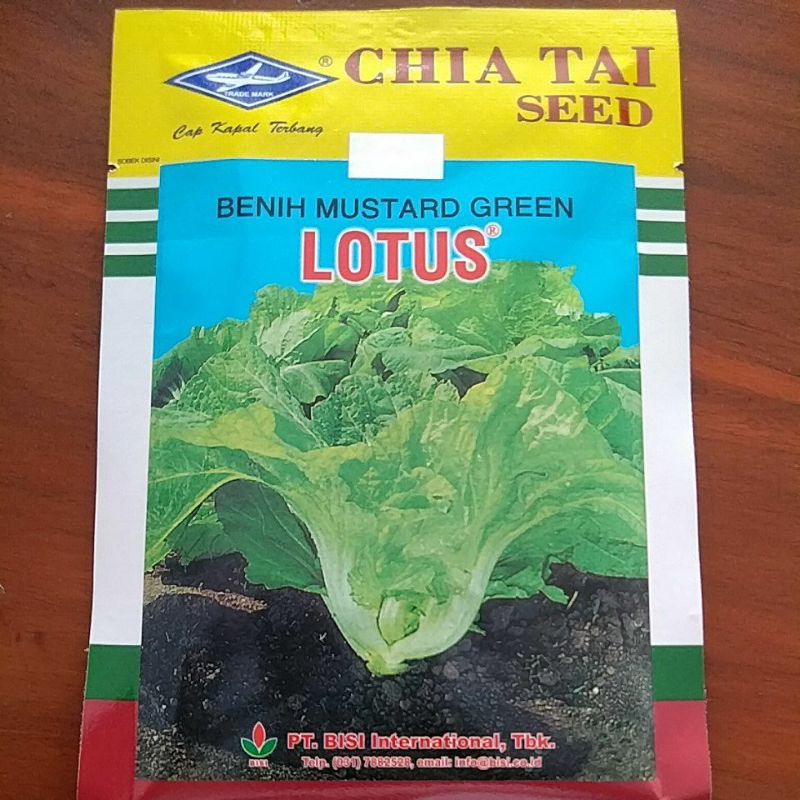 Jual benih selada LOTUS 50 gram cap kapal terbang | Shopee Indonesia