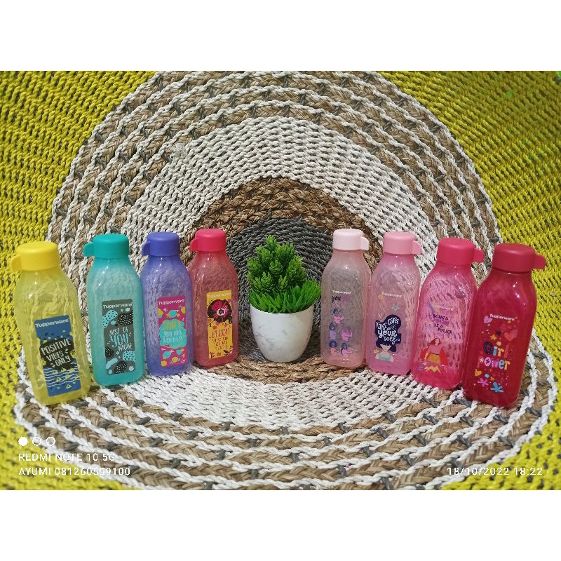 Jual Eco botol petak 500ml | Shopee Indonesia