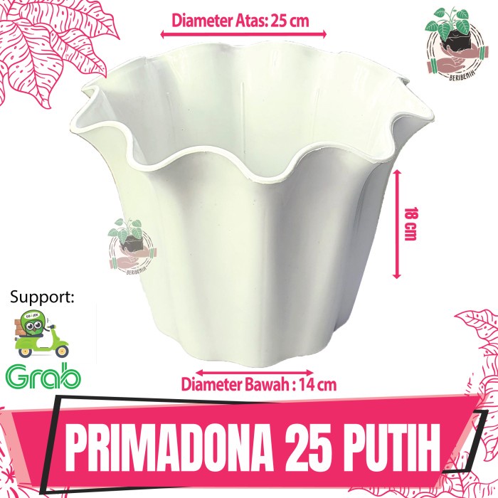 Jual Pot Bunga Tanaman Hias Shallom Primadona Putih Motif Kembang Tebal ...