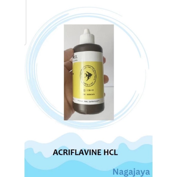 Jual Obat kuning Acriflavine HCL blitz icht obat kuning ikan hias 100 ...