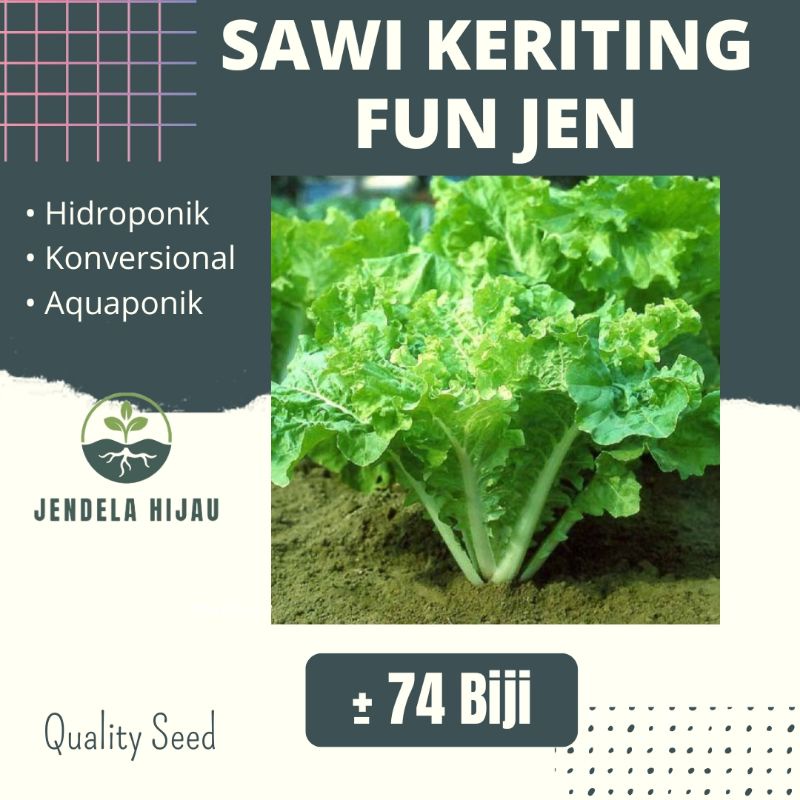 Jual Benih Sawi Keriting FUN JEN Known-You Seed - Bibit Tanaman Sayuran ...