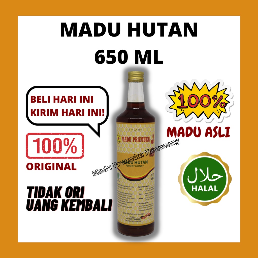 Jual MADU ASLI MADU ORIGINAL MADU PRAMUKA HUTAN 650 ML | Shopee Indonesia