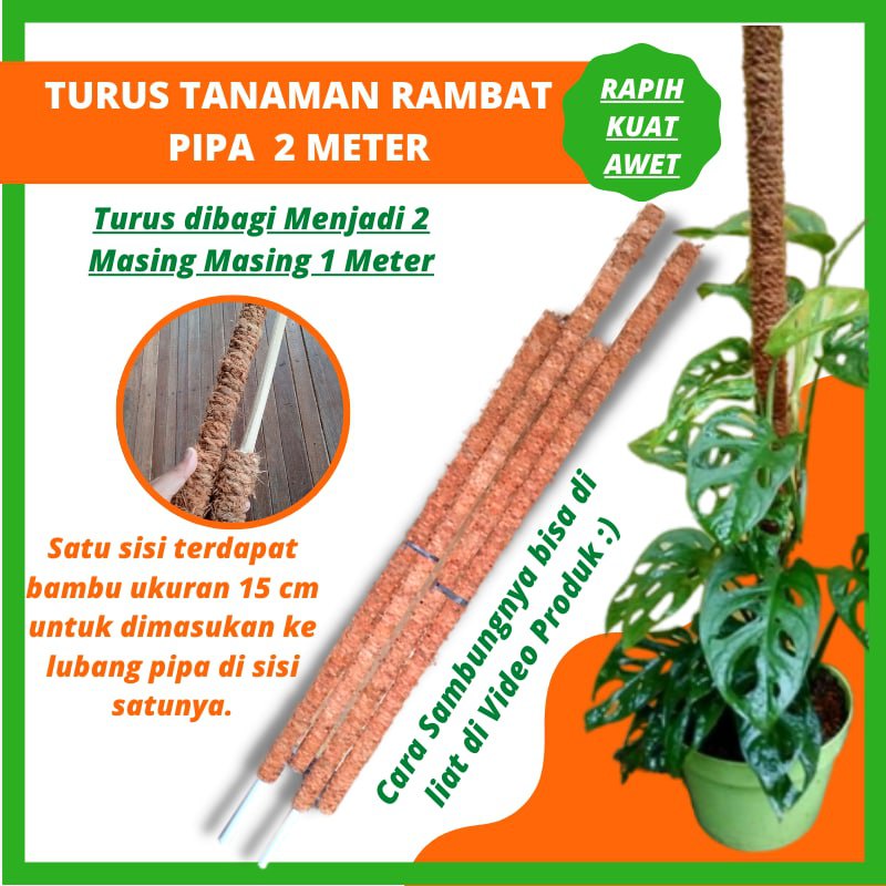 Jual Turus Tanaman Rambat 2 meter Pipa Penyangga Tanaman Hias | Shopee ...