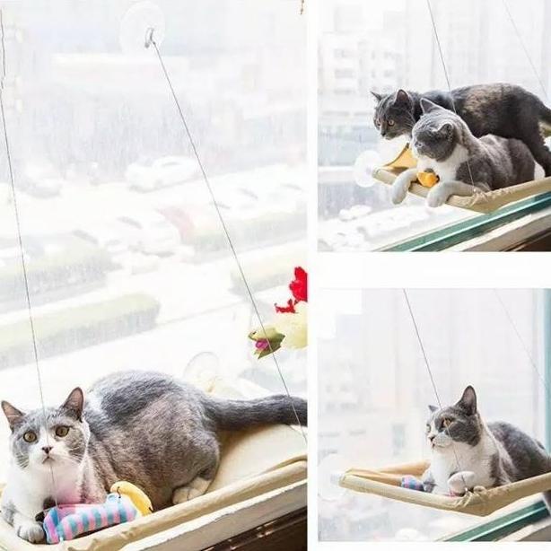 Jual Sofa Kucing Sunny Seat Di Jendela - Window Mounted Cat Bed ...