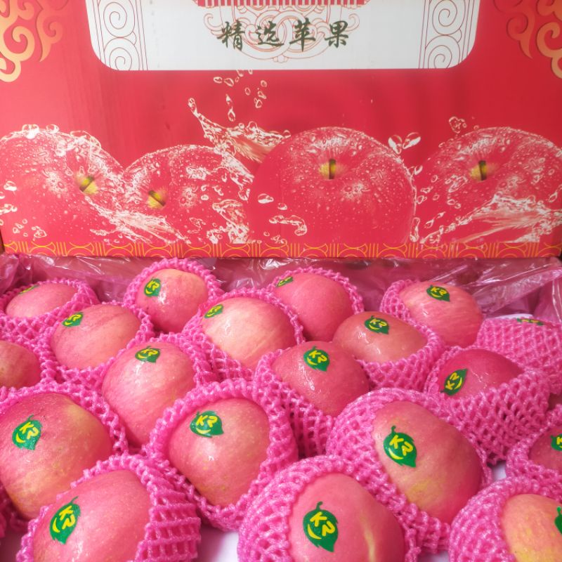 Jual Apel Fuji RRC | Shopee Indonesia