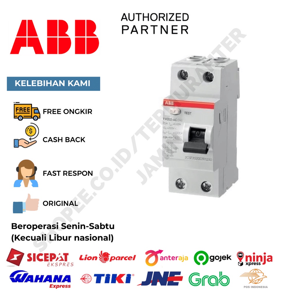 Jual ELCB RCCB ABB FH 202 AC-40/0.03 FH202 40A 2P 30MA 2CSF202006R1400 | Shopee Indonesia
