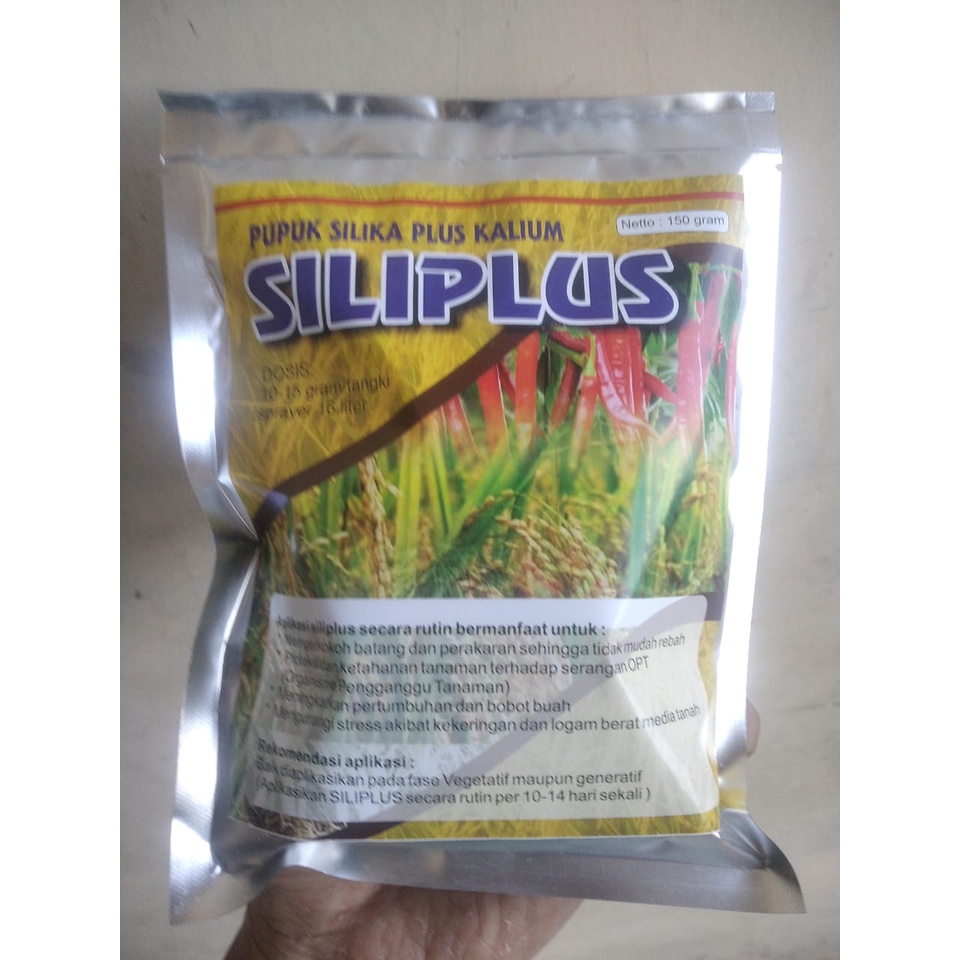 Jual SILIPLUS 150 GRAM - PUPUK KALIUM SILIKA - PUPUK SPRAY/FOLIAR ...