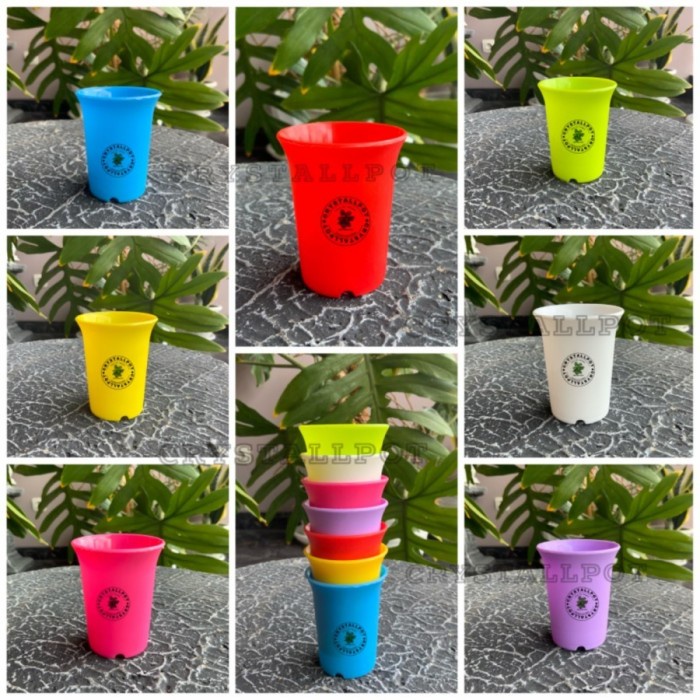 Jual Pot Tanaman Hias Mini NKT SANSE Pot Kaktus Unik Warna Warni Bahan ...
