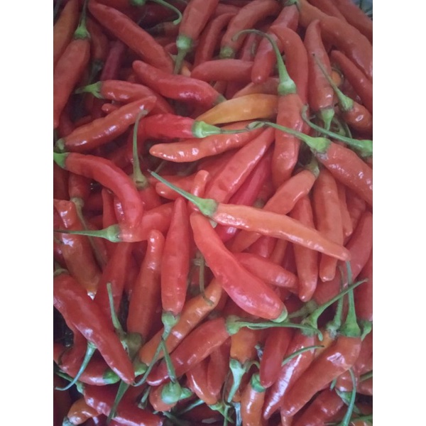 Jual cabai cabe rawit merah | Shopee Indonesia