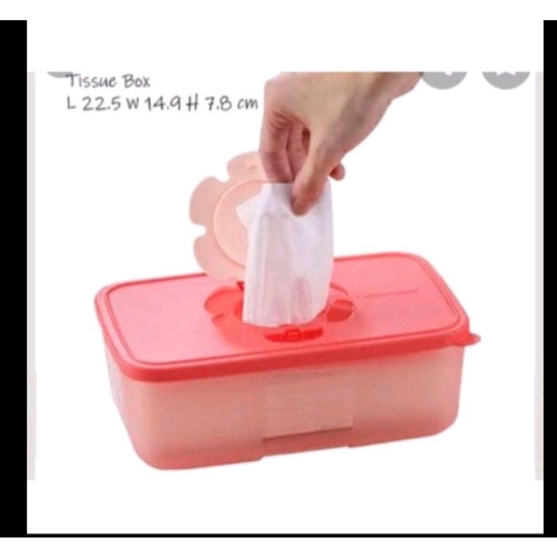 Jual Tisu Box peach dan tisu Box shallow,Clean (Sabun ) | Shopee Indonesia