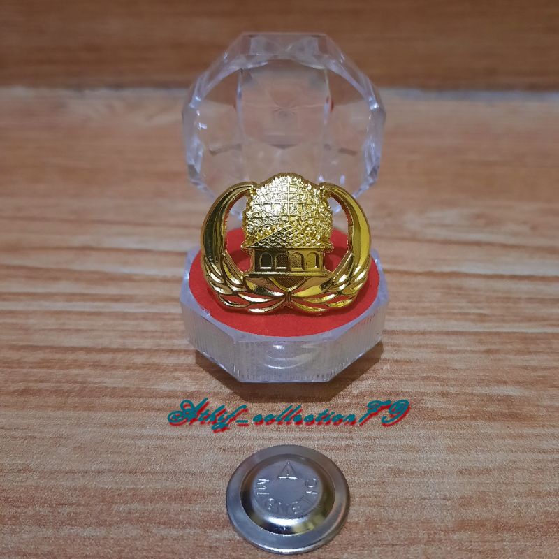 Jual Pin Korpri ASN Kuningan Magnet Pin PNS + Box Pin | Shopee Indonesia
