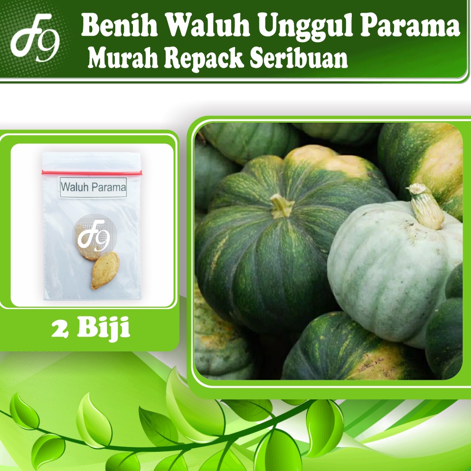 Jual Benih Bibit Waluh Unggul Parama Murah Repack Seribuan | Shopee ...