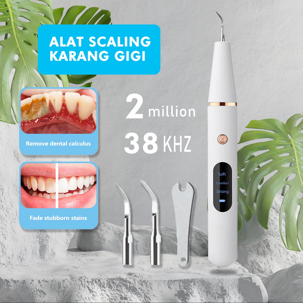Jual Alat Pembersih Karang Gigi Dental Scaling Sonic Elektrik 38KHZ 1 Set 3 Modes Perontok Dan ...