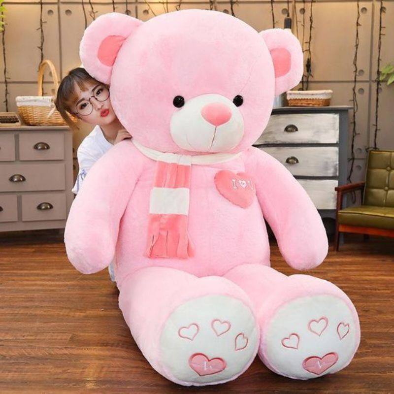 Jual Boneka Teddy bear shall SUPER JUMBO 1,5meter cocok untuk kado ...