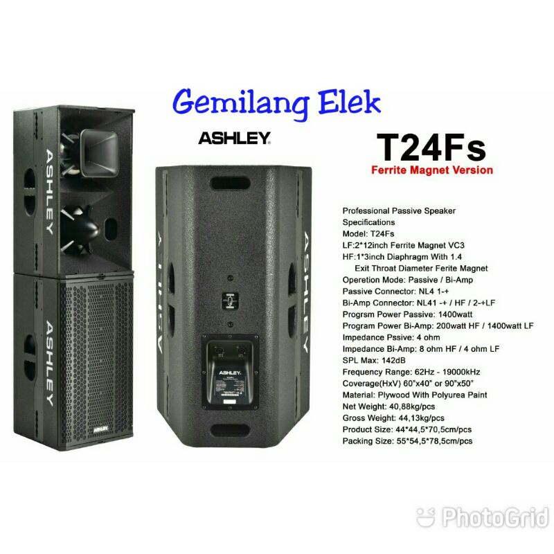Jual Speaker Pasif Line Array ASHLEY T24Fs Ferrite Magnet Version 12 ...