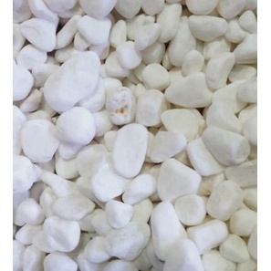 Jual Batu Itali 500 Gram Batu Italy Hias Coral Putih Koral Aquarium ...