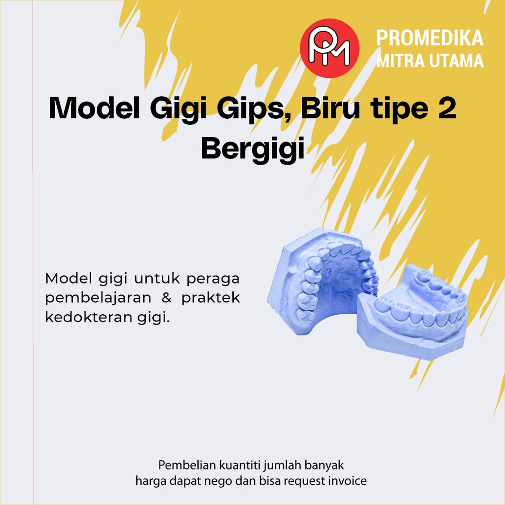 Jual Model Gigi Gips, Biru tipe 2 - Bergigi | Shopee Indonesia