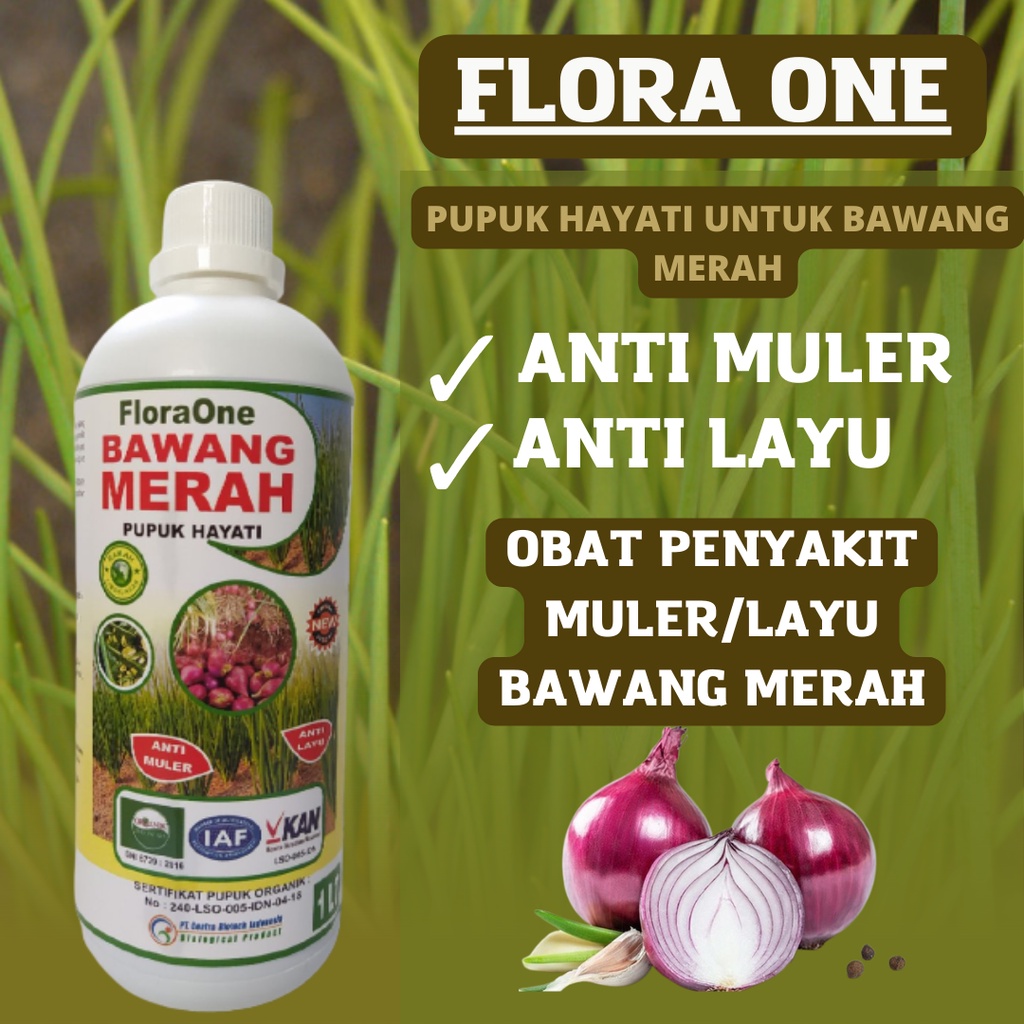 Jual Pupuk generatif bawang merah, pupuk cair pembesar bawang merah ... Jual Pupuk generatif bawang merah, pupuk cair pembesar bawang merah ...