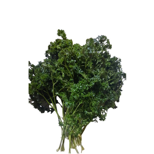 Jual peterseli/parsley 500 gram | Shopee Indonesia