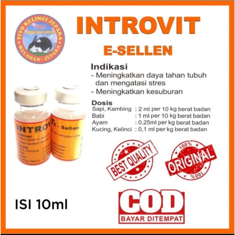 Jual introvit e sellent 10 ml meningkatkan kesuburan hewan Kelinci ...