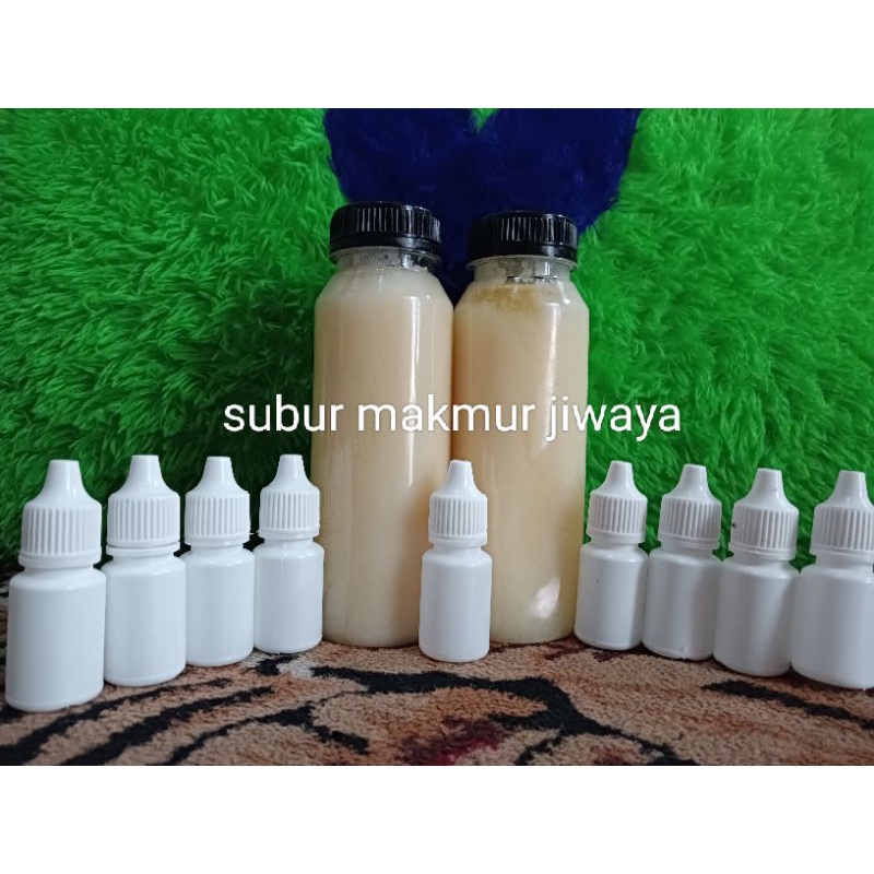 Jual Minyak Babi Asli 10ml | Shopee Indonesia