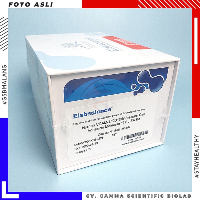 Jual Human Vcam 1 Cd106 Vascular Cell Adhesion Molecule 1 Elisa Kit 96t Shopee Indonesia