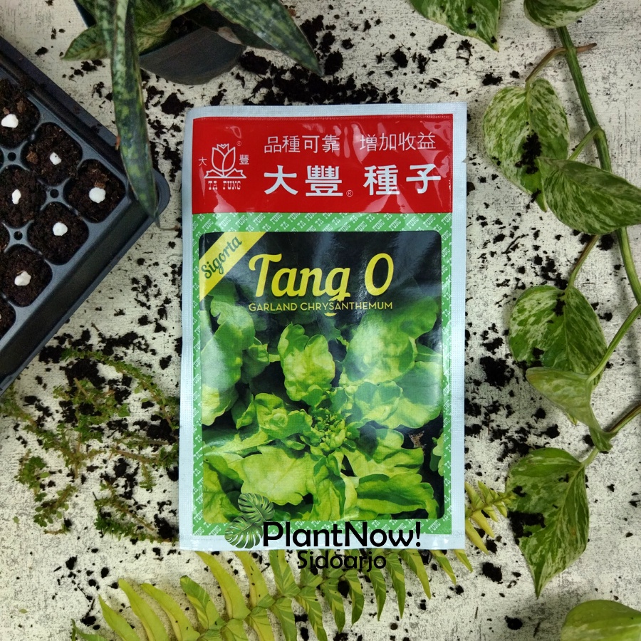 Jual Benih Biji Bibit Sayur Tang O Sigorta - 10 gr | Shopee Indonesia