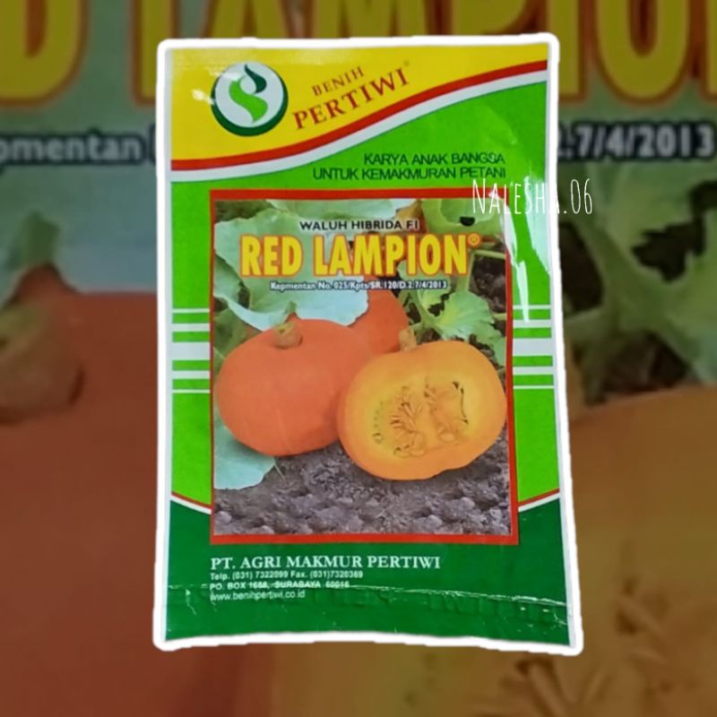 Jual Benih Kabocha/Labu Jepang F1 Red Lampion Original Kemasan Pabrik 1 ...