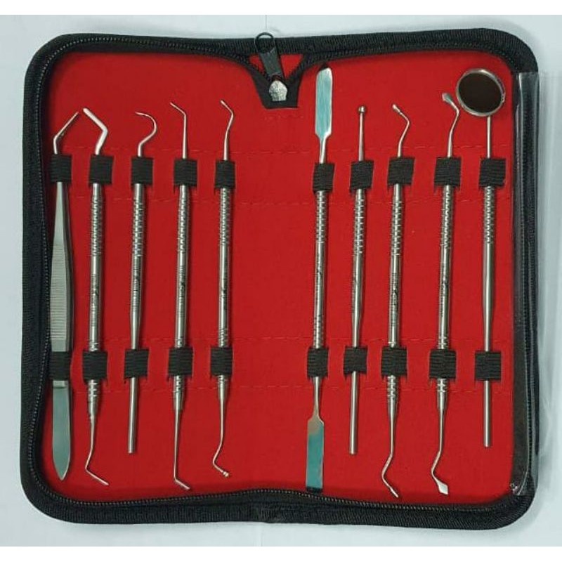 Jual Dental Instrument Kit Instrumen Diagnostic Stainless Steel Set Isi ...