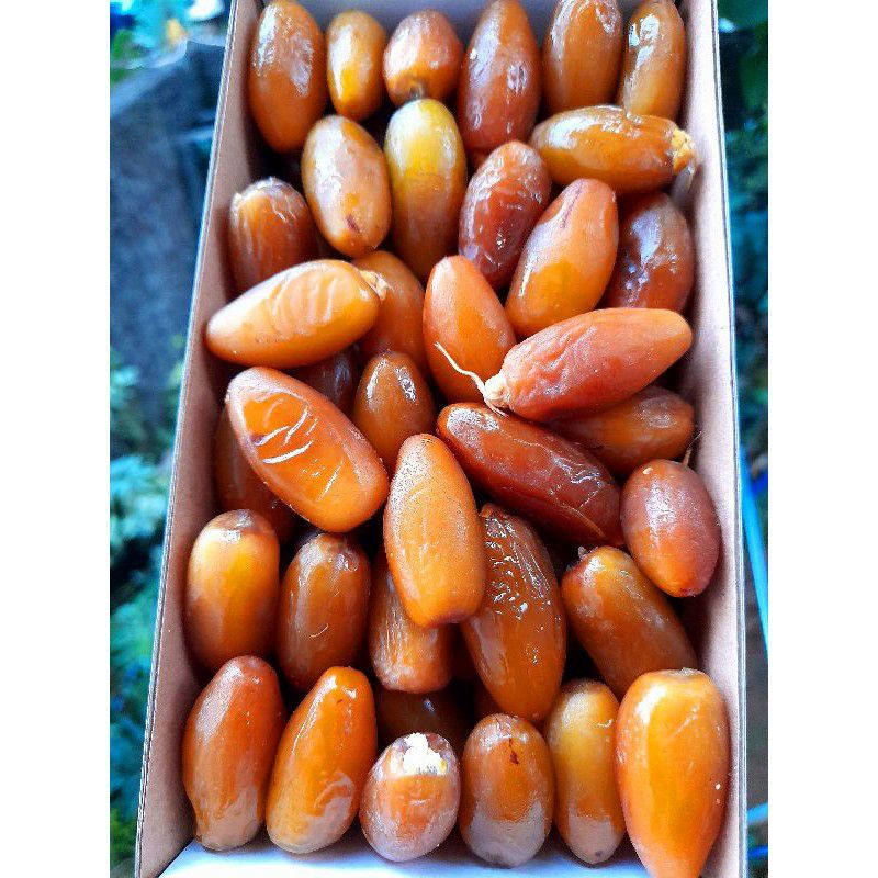 Jual Kurma muda ruthob libya ukuran 1kg | Shopee Indonesia
