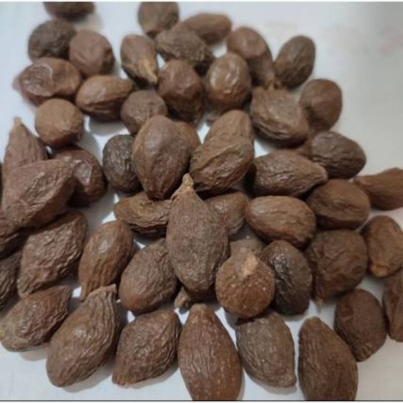 Jual Buah Tempayang Pang Ta Hai Buah Kembang Semangkok | Shopee Indonesia