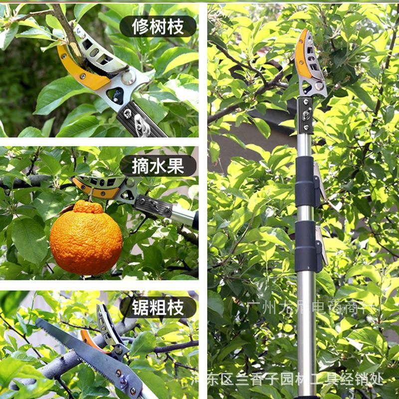 Jual Tongkat Panjang Alat Pemetik Buah Alat Bantu Pengambil Pemangkas Ranting Gergaji Pohon Tree ...