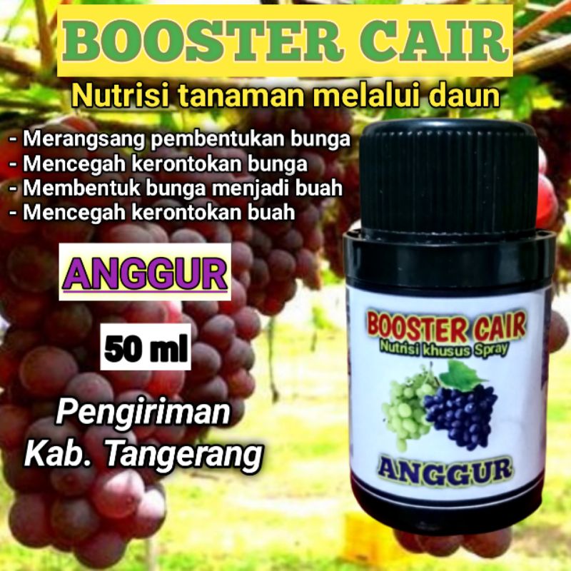Jual pupuk boster anggur perangsang bunga dan pelebat buah 50 ml bisa cod promo terlaris ...