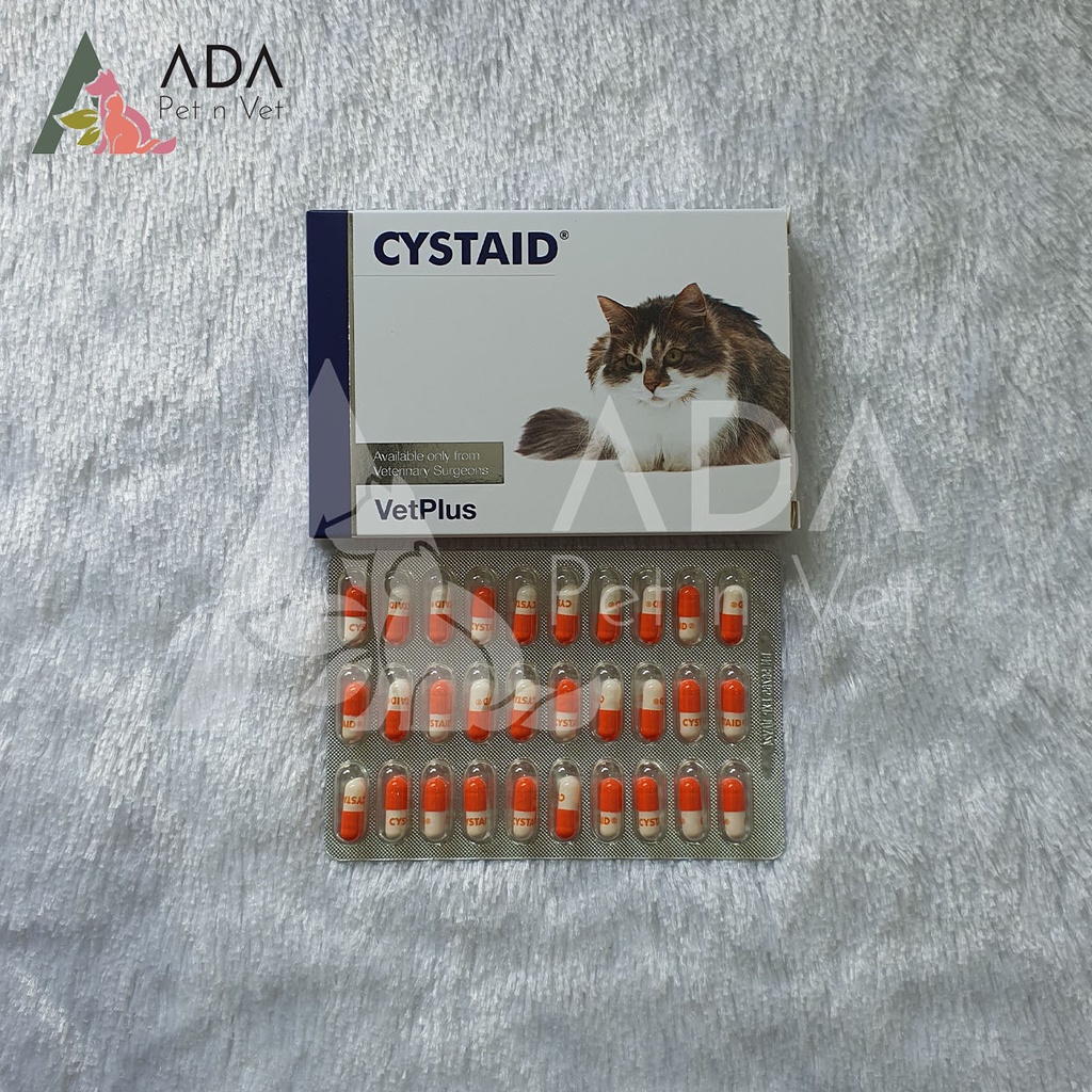 Jual Cystaid Cat - Per 1 Kotak (30 kapsul) | Shopee Indonesia
