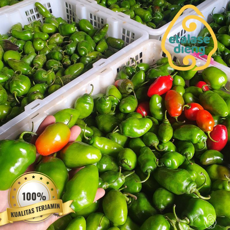 Jual Cabai / Cabe gendot / 1.25 kg / Cabe Gendut / Potongan Ongkir ...