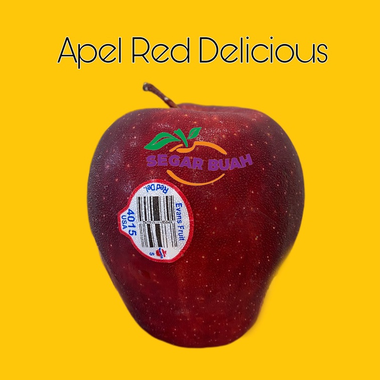 Jual Apel Merah 500 gr / 1000 gr (1 kg) / Isi 4 (Pack) | Shopee Indonesia