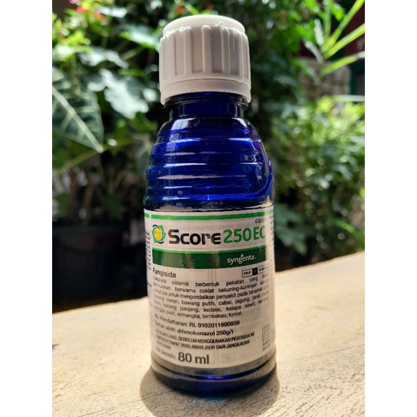 Jual Score 250 EC 80ml | Shopee Indonesia