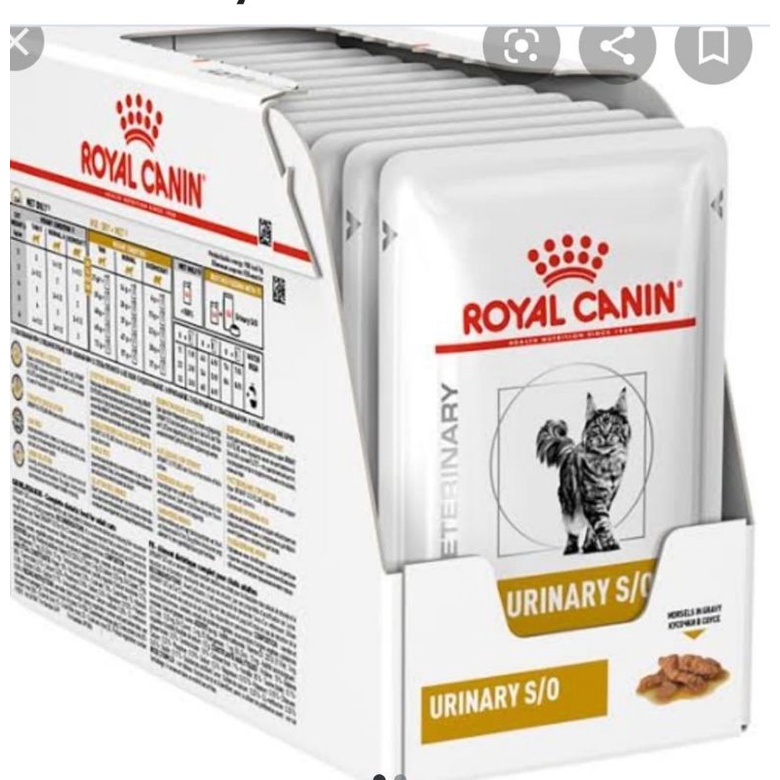 Jual ROYAL CANIN URINARY CAT SACHET (BOX)-ROYAL CANIN URINARY CAT ...