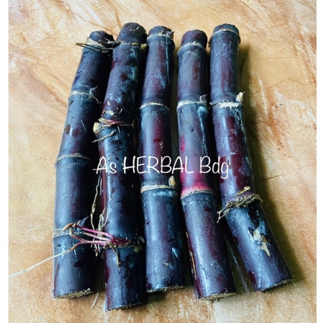 Jual JUAL Tebu hitam atau tebu ireng segar fresh 1 kg-az | Shopee Indonesia