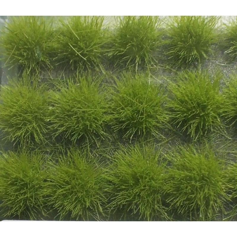 Jual Semak Miniatur / Bush Tuft Diorama Warhammer DnD Fantasy Maket 6mm ...