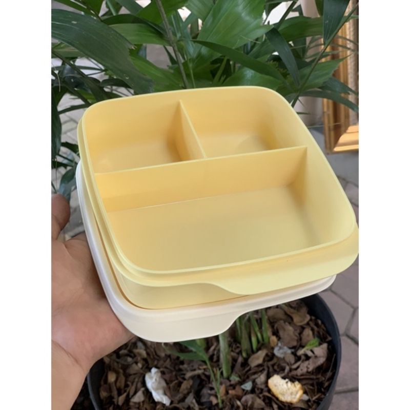 Jual loly Tup Tupperware | Shopee Indonesia