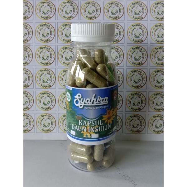 Jual KAPSUL HERBAL ALAMI DAUN INSULIN ISI 100 KEMASAN BOTOL | Shopee ...