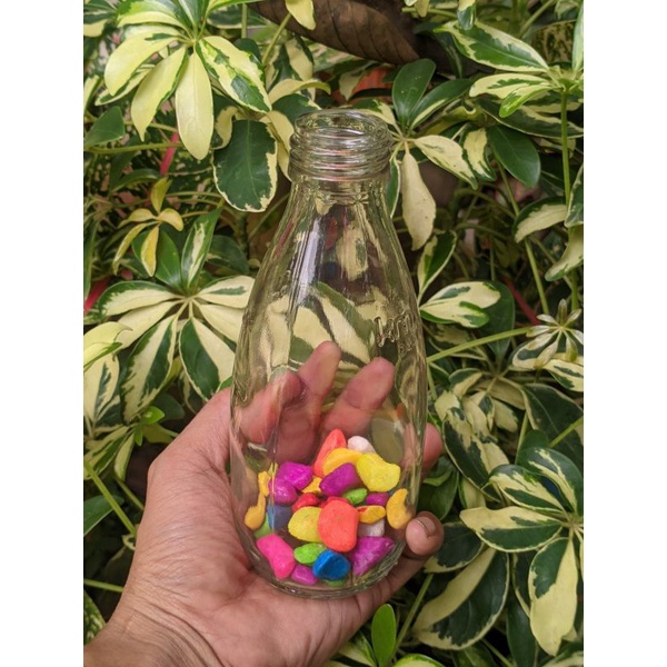 Jual BOTOL KACA VAS BUNGA 250ML/+BATU ALAM/BOTOL KACA VAS BUNGA 250ML ...