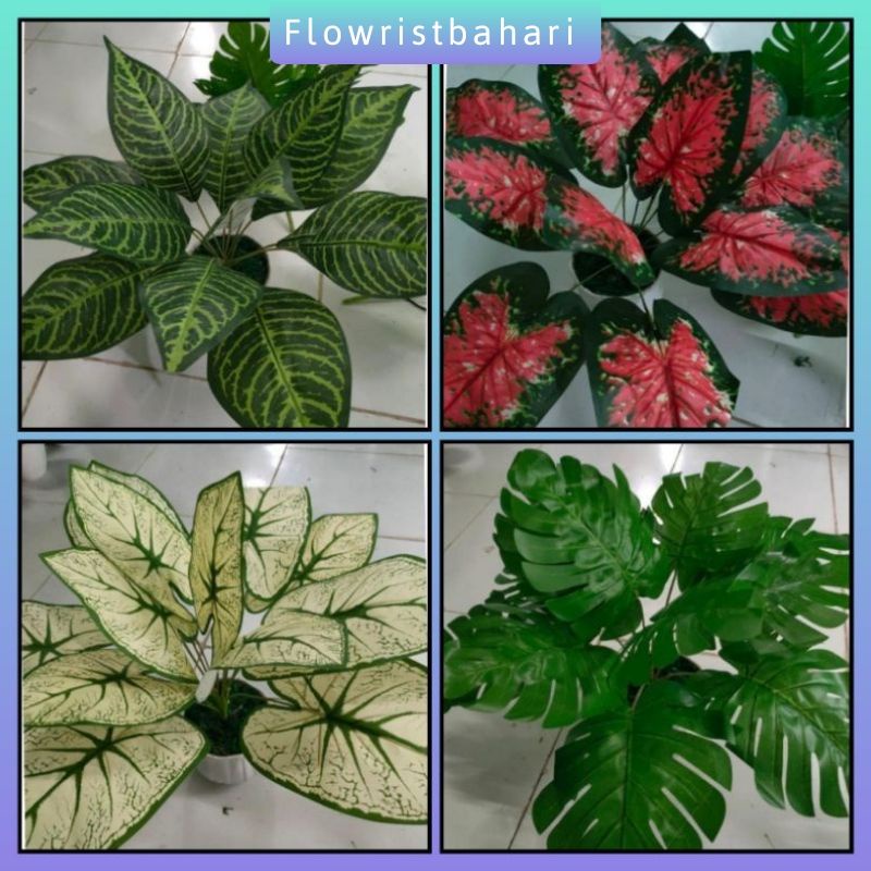 Jual Daun dekorasi artificial pohon hias palsu Daun tanaman tangkai x12 ...