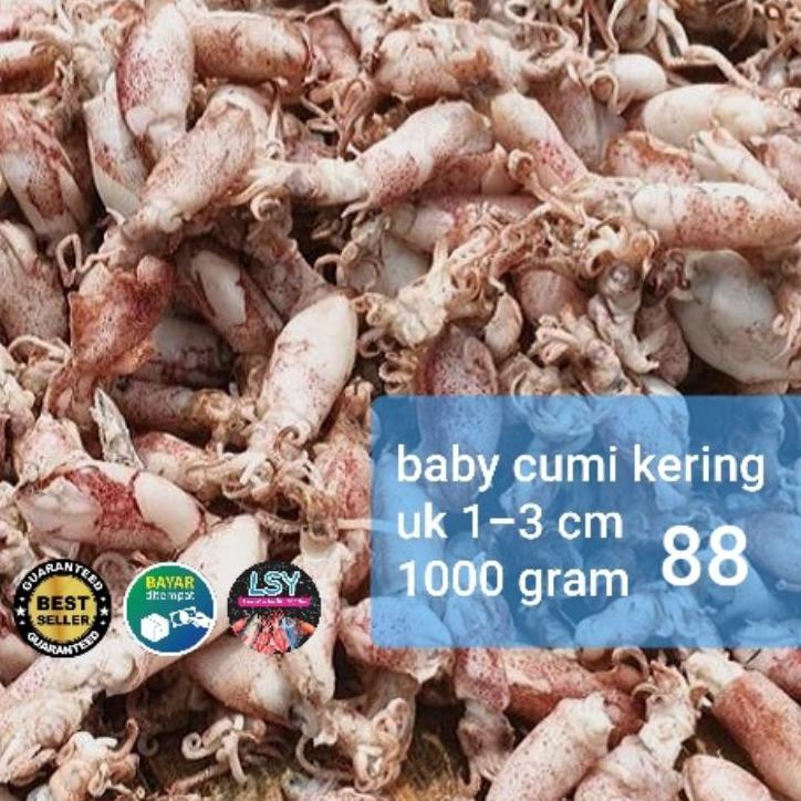 Jual kodeE9q4P--ikan asin baby cumi / cumi rebus kering 88 berat 1kg ...