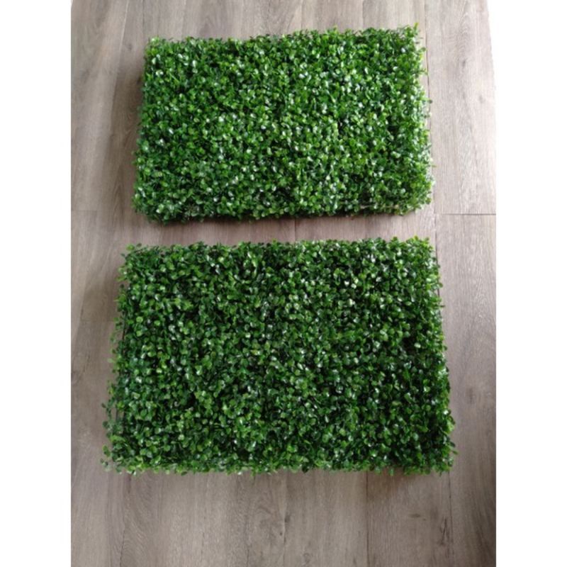 Jual rumput dolar rumput plastik | Shopee Indonesia